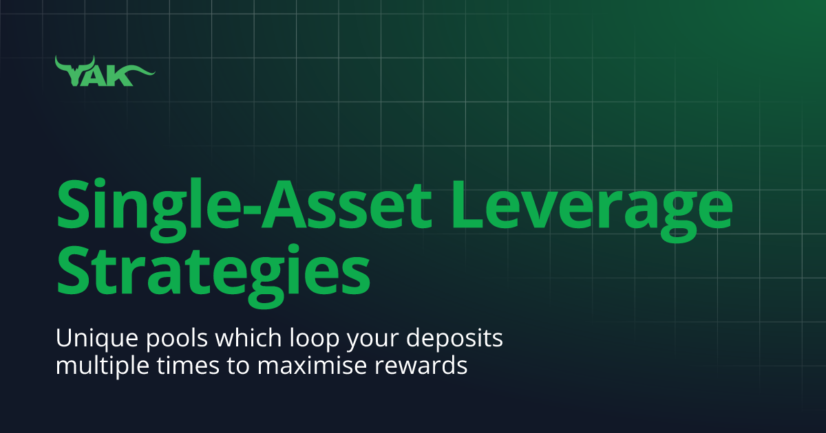 Single-Asset Leverage Strategies | Yield Yak